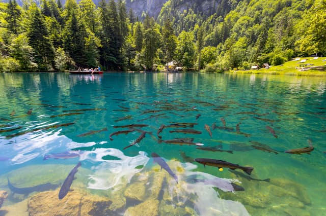 SUMMER EAST EUROPE + LAKE BLAUSEE SWITZERLAND | Tripdeals